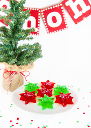 Christmas Jello Jigglers - Joy In Every Season