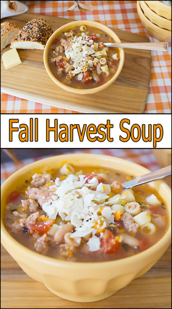 Fall Harvest Soup - Joy In Every Season